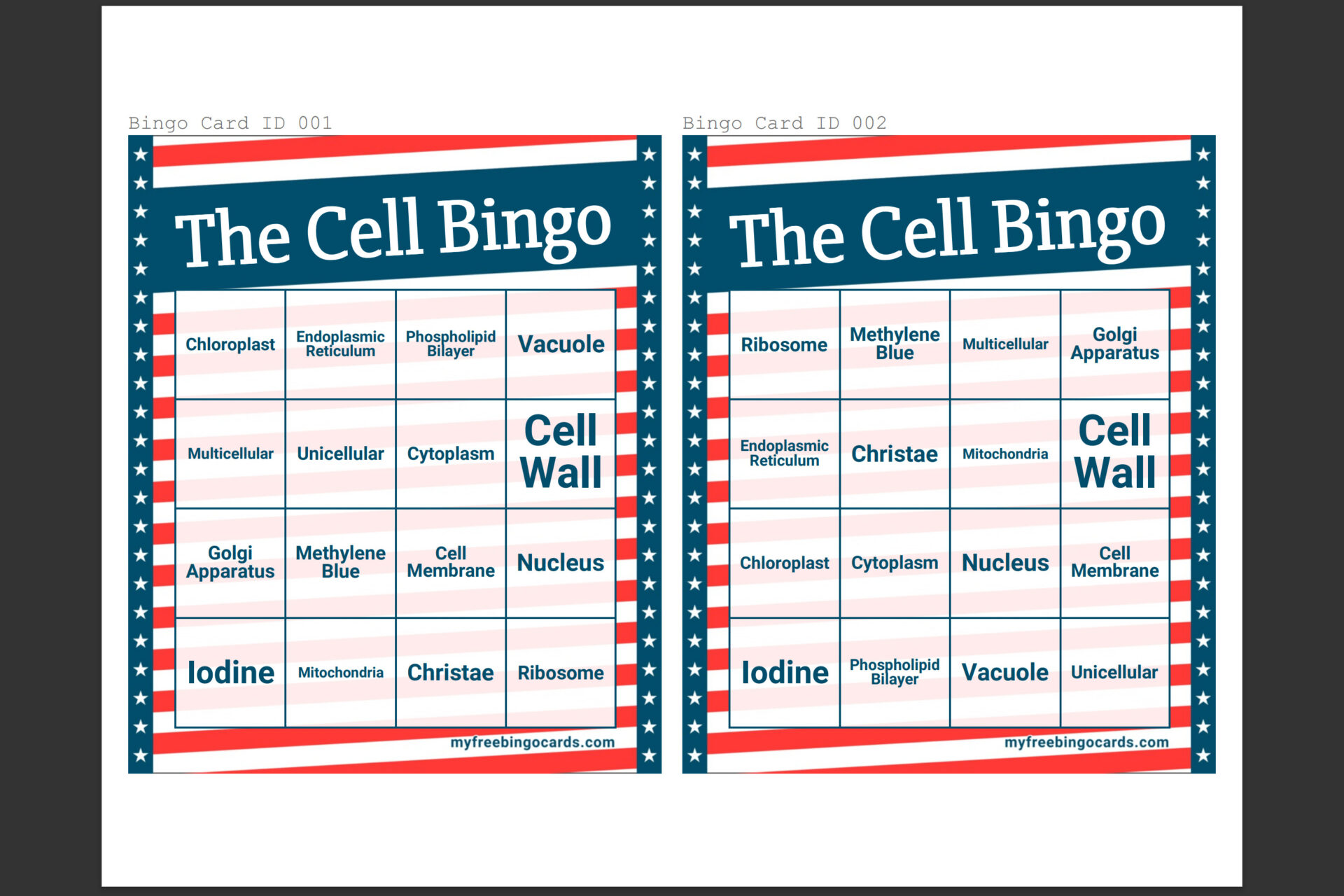 Senior Cycle Biology 'The Cell Bingo' NEW Syllabus 2027. | Lesson Plans